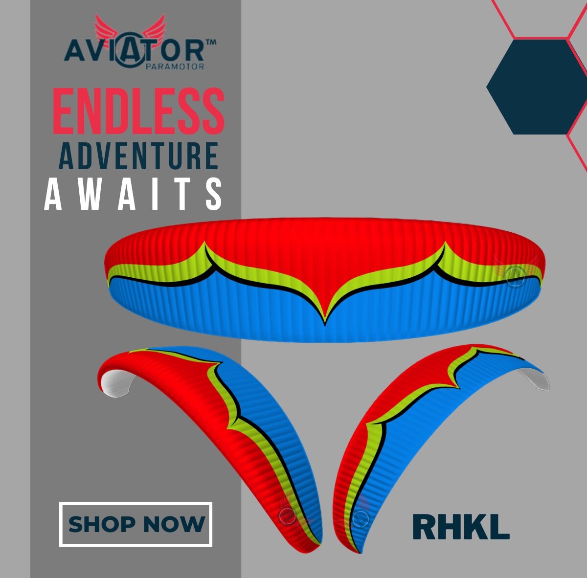 Ozone MojoMAX - Beginner/Intermediate DGAC paraglider - Aviator PPG